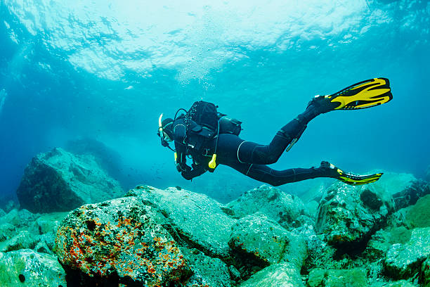 Best Places For Scuba Diving In Tanzania